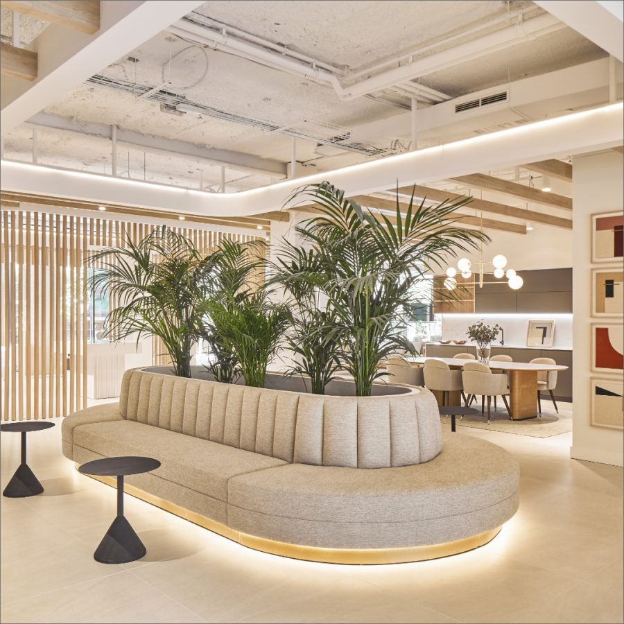 Flagship AEDAS - Tailor Retail Makers